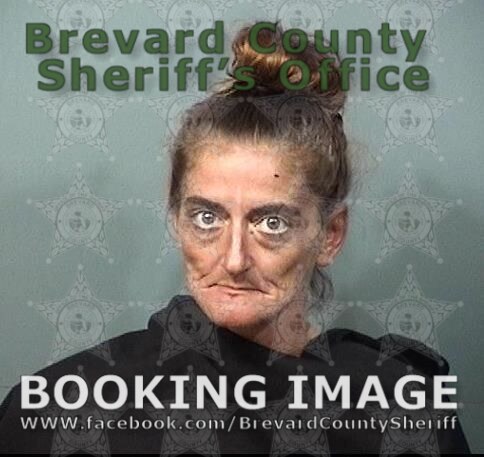 Arrests In Brevard County: August 26, 2024 – Suspects Presumed Innocent ...