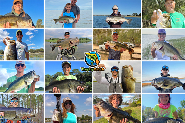 FWC's TrophyCatch Program Hits 15,000 Catches, Testament to Florida’s ...