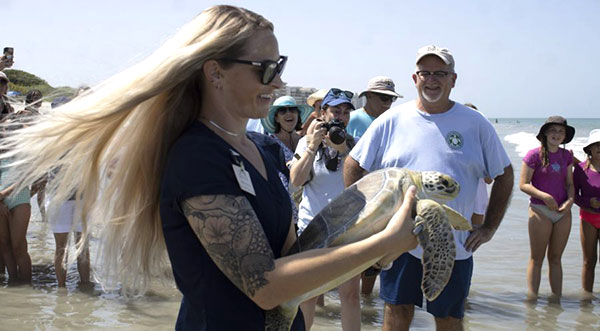 Brevard Zoo's Sea Turtle Healing Center Receives New X-Ray Machines ...