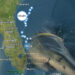 OCEARCH's Global Shark Tracker Pings 13.8-Foot Great White Shark ...
