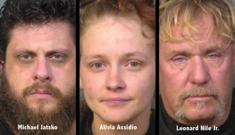 SHERIFF WAYNE IVEY: Operation Take Back America Bags Three Serial Drug ...