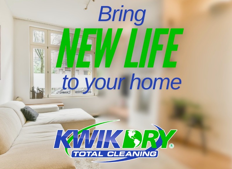 WATCH: Kwik Dry of Brevard Uses Only Natural Cleaners and Techniques, Bring New Life to Your ...